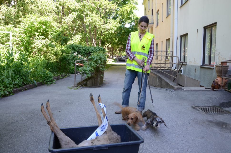 Mitä on SRVA? - Suomen riistakeskus